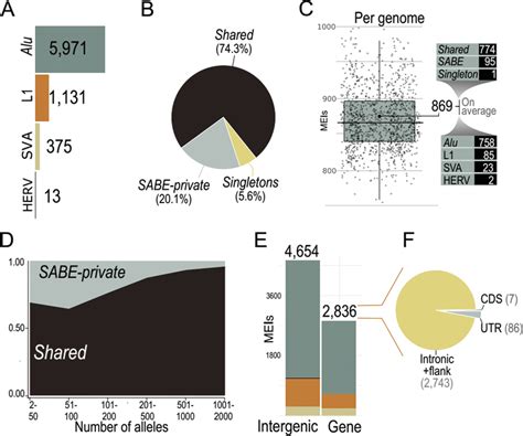 A Landscape Of Mobile Element Insertions Meis Into Sabe Genomes A Download Scientific Diagram
