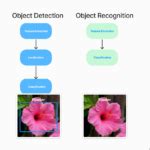 Object Detection With Opencv A Step By Step Tutorial Askpython