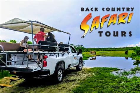 Back Country Wild Horse Safari Corolla Outer Banks Nc