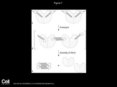 Volume Issue Pages August Ppt Download