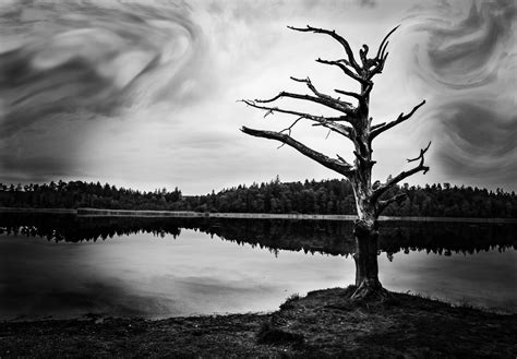 Fotos Gratis Paisaje árbol Agua Naturaleza Rock Nube En Blanco