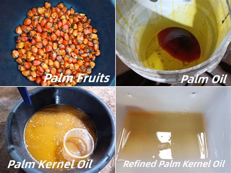 1tph Palm Oil Mill Project Setup In Nigeria Palm Fruit Kernel Oil Pressing And Refining