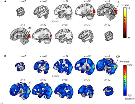 Figure 1 From Neural Representations For Multi Context Visuomotor