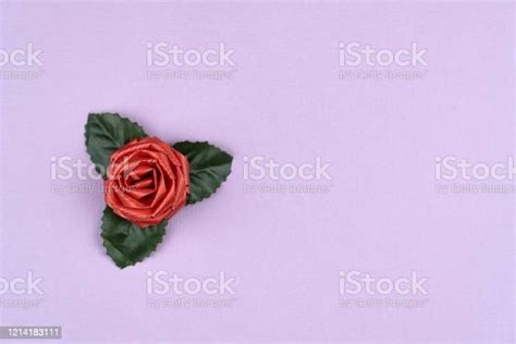 보라색 배경 상단보기에 직물로 만든 장미 설계를 위한 여유 공간 사랑의 주제에 휴가 배경 발렌타인 데이 배경 평면 레이아웃입니다 복사 공간 0명에 대한 스톡 사진 및 기타