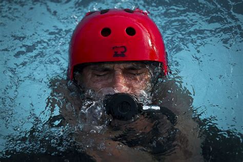 Qualification System Images Free Photos Png Stickers Wallpapers