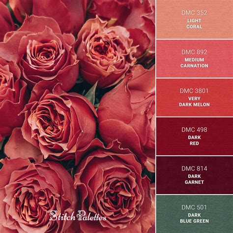 What Colors Rose Red At Carisa Macaulay Blog
