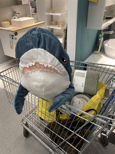 How I Met My Blåhaj Rblahaj