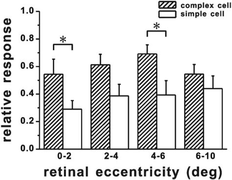Relative Responses Of Cortical Cells With Receptive Fields At Different Download Scientific