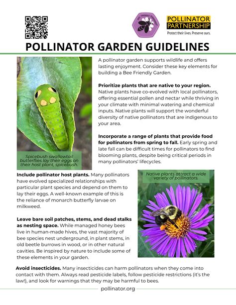 Quick References Guide