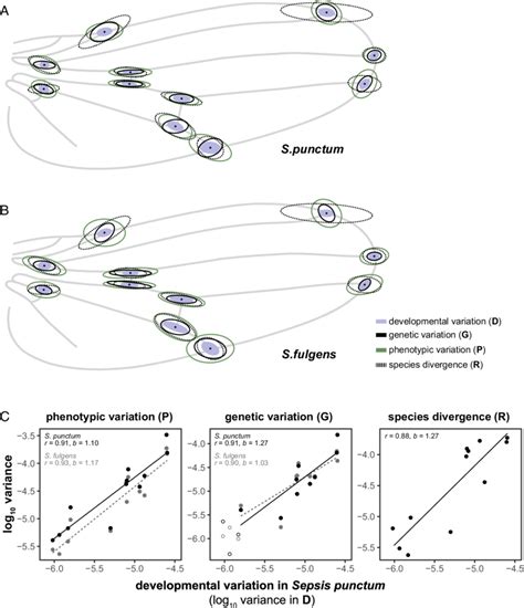 Ellipses Representing Variation In Landmark Positioning Due To Download Scientific Diagram