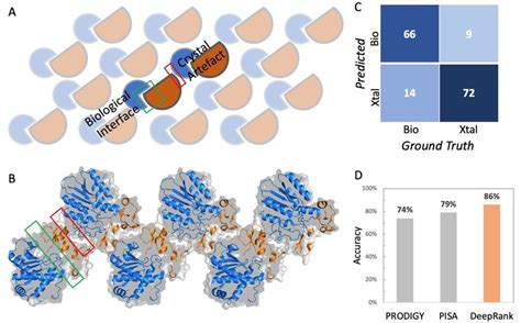 Classification Of Biological And Crystal Interfaces Using Deeprank Download Scientific Diagram