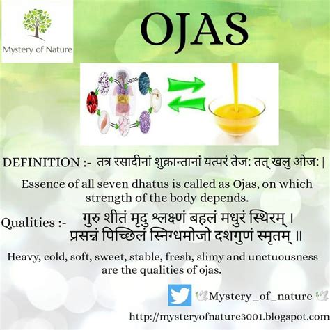Ojas In Ayurveda Understanding Natures Vital Energy