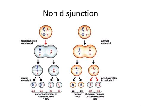 Karyotypes And Dysmorphic Features Pptx