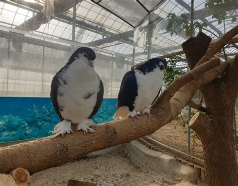 펭귄비둘기 잠사박물관