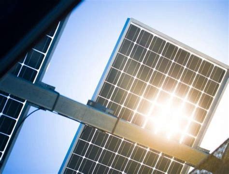 Ai Driven Agrivoltaic Project Development Nuwatt Energy