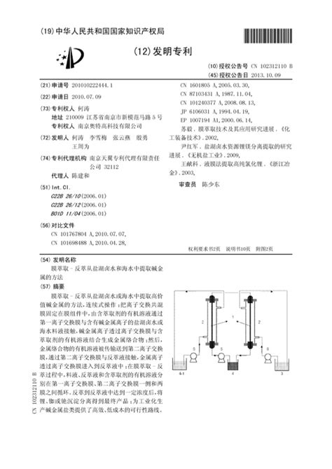 Chinese Patent 01