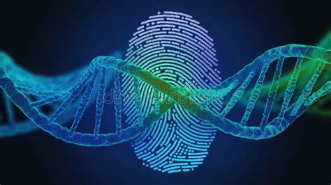 A Vivid Illustration Of A Dna Strand Intertwined With A Digital Fingerprint Representing