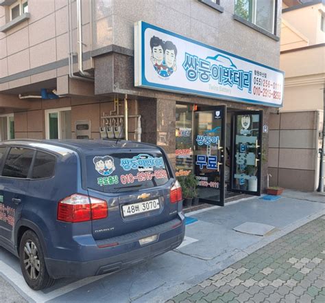 마산밧데리 올뉴 카니발 자동차 배터리 방전 무료 출장 교체 쌍둥이밧데리 네이버 블로그