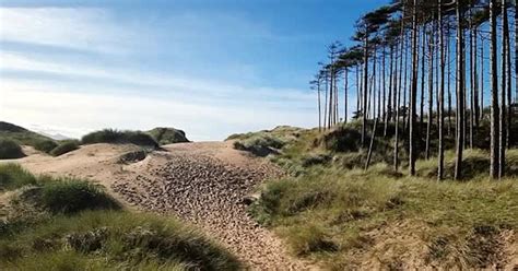 Panning Across Edge Of Woodland Forest Coastal Grassy Sand Dunes On Blue Sky Beach In Anglesey