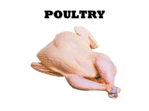 Classification Of Poultrypptx