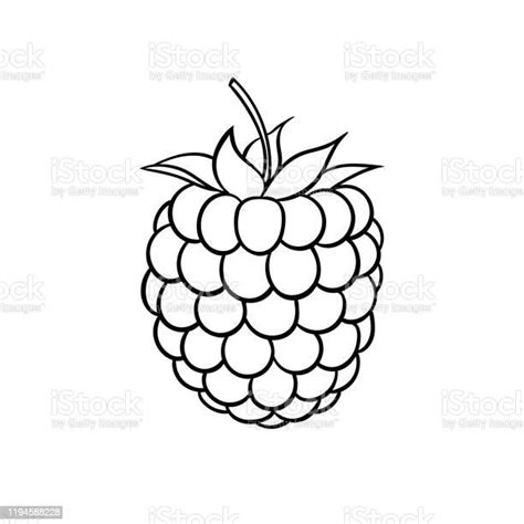 아름다운 만화 흑백 윤곽 라즈베리 여름의 상징 휴일 인사말 카드 및 계절 여름 휴가 해변 파티 관광 및 여행의 초대를위한 디자인 라즈베리에 대한 스톡 벡터 아트 및 기타