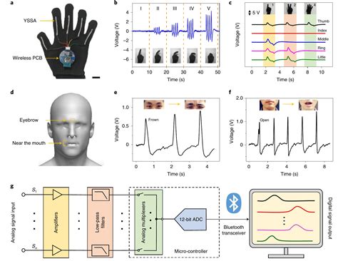 Figure 1 From Sign To Speech Translation Using