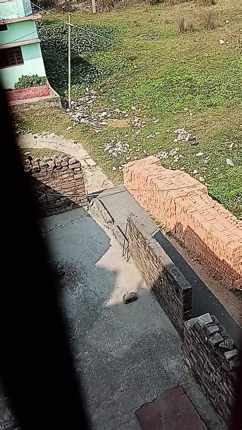 Desi Sex Xhamster