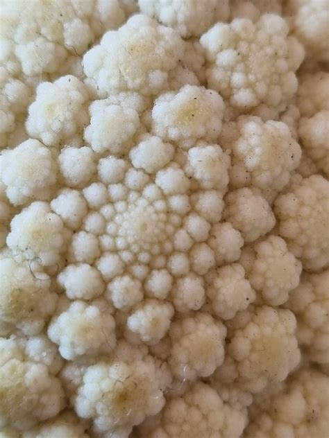 Fibonacci Cauliflower For Lunch Rmildlyinteresting
