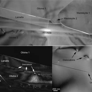 Conventional Diffraction Contrast Transmission Electron Microscopy Download Scientific