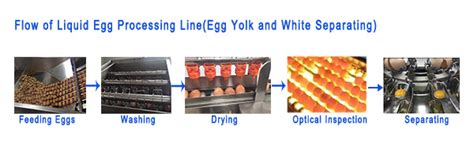 Flow Chart Separating Line Greenland Tech
