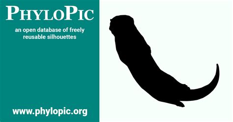 Lutra Lutra By Margot Michaud Cc0 10 Phylopic