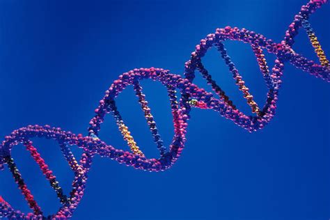 us scientists discover cholesterol removing gene elets ehealth