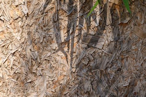 Osb Board Texture Building Panels From Wooden Chips Simple Pressed Chipboard Pattern Wood