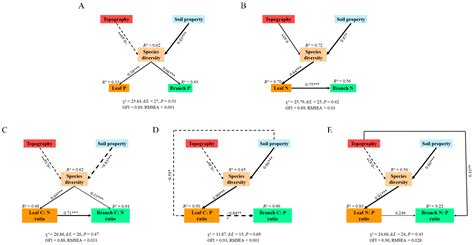 Carbon Nitrogen And Phosphorus Stoichiometry And Its Influencing Factors In Karst Primary Forest