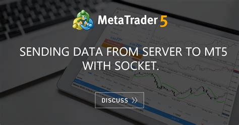 Sending Data From Server To Mt5 With Socket Mt5 Expert Advisors