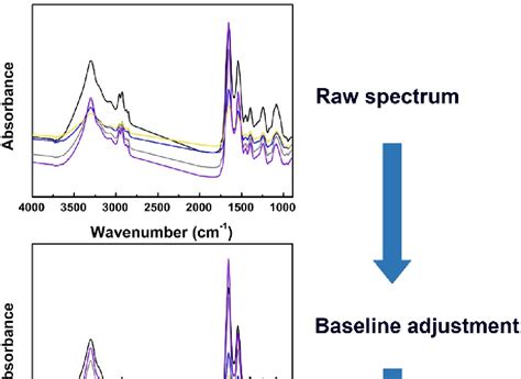 Figure 3 From Bacterial Typing And Identification Based On Fourier Transform Infrared