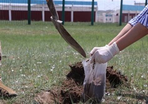 Төв цэнгэлдэх хүрээлэн морь барианы газруудаас хөрсний дээж авч