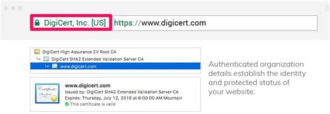 What Is An SSL Certificate And How It Can Help Your Website