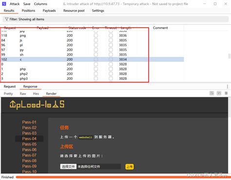 尝试fuzz测试文件上传靶场的黑名单fuzz Web 文件上传 Csdn博客 尝试fuzz测试文件上传靶场的黑名单fuzz Web 文件上传 Csdn博客