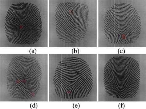 Figure 1 From A New Detection Method Of Singular Points Of Fingerprints