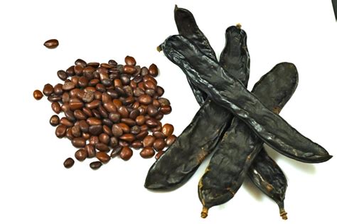 Carob And Locust Bean Gum Introduction Cybercolloids