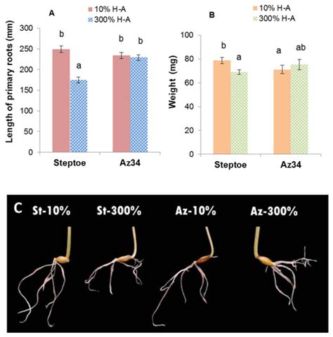Cells Special Issue Role Of Nitrogen And Phosphorus In Nutrition Growth And Metabolism Of