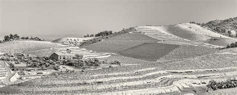 Gran Clos del Priorat - Wein direkt ab Hof kaufen | WirWinzer.de