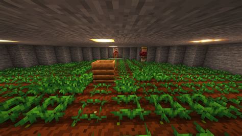 Visual Glitch Java Edition Support Support Minecraft Forum