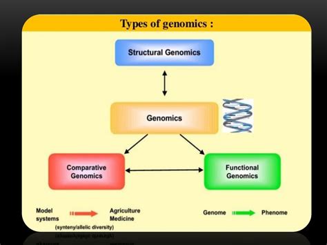 Genomics And Proteomics Bioinformatics
