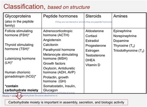 Endocrine System Hormones Flashcards Quizlet