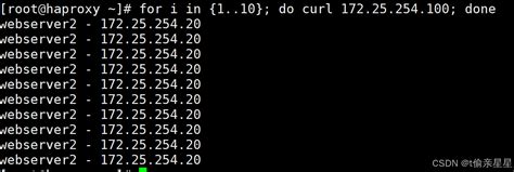 haproxy最强攻略 haproxy配置tcp转发 csdn博客