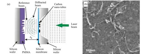 Gabor Holography Scheme For Na ~1 Recording With Cnt As The Object A Download Scientific