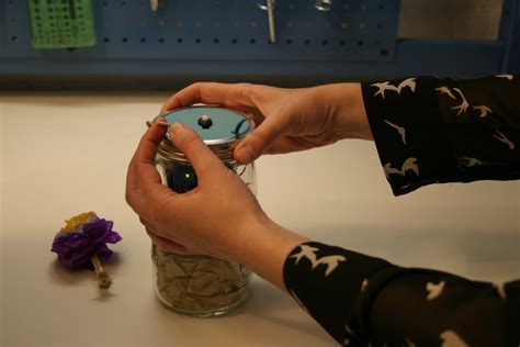 Create An Arduino Controlled Light Following Flower Bot 10 Steps