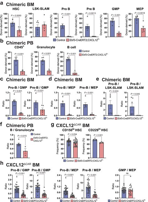 The Ability Of Hscs To Generate B Cell Progenitors Was Markedly Reduced